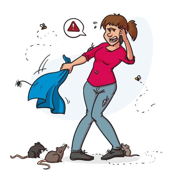 Vlooien bestrijden >> Uitleg, kosten & doe-het-zelf tips