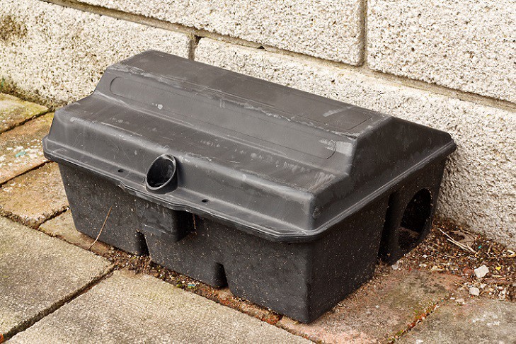 Zo kun je ratten bestrijden: tips & werkwijze